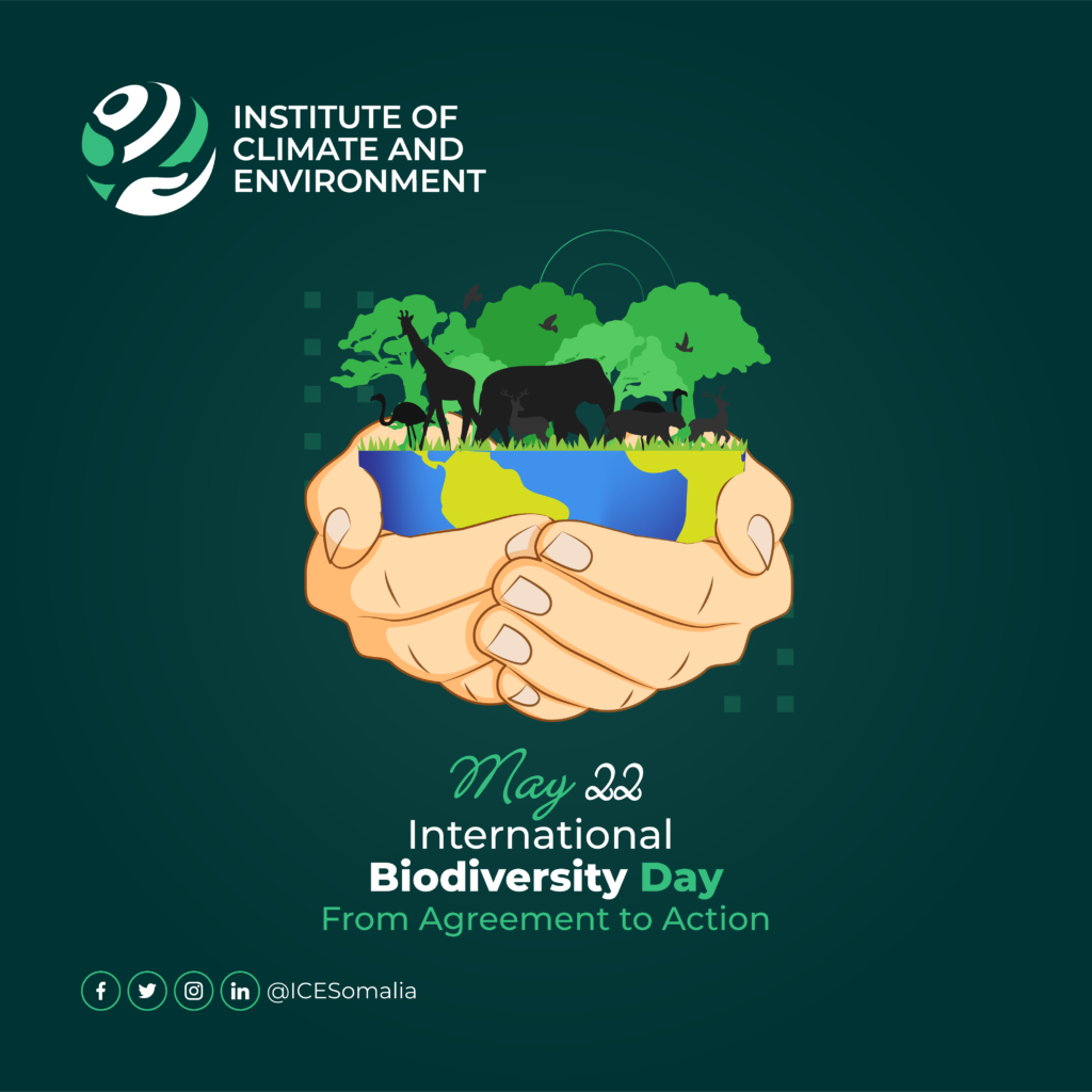 International Biodiversity Day: Facts From Somalia – ICE